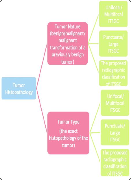 Summary Of The Statistical Analyses Performed Download Scientific Diagram