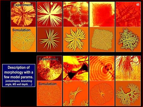 Phase Field Modeling Of Crystal Nucleation Ii Comparison With Simulations And Experiments