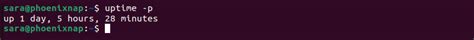Linux Uptime Command Syntax Options Examples