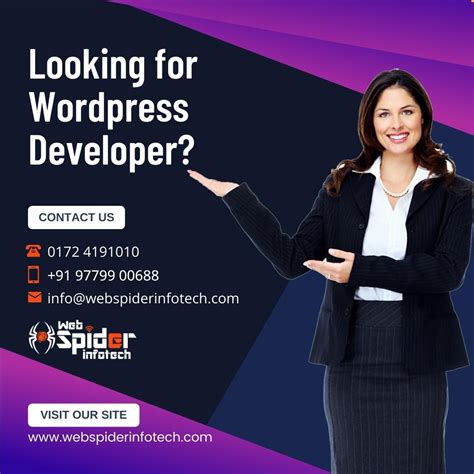 Web Spider Infotech Your Search For The Best Wordpress Developer Can Be Completed At Web