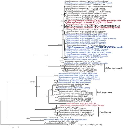 Bootstrap Test 1000 Resamplings Was Performed And Values 50 For Ml