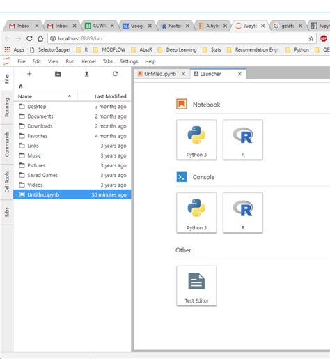 Installing The R Kernel In Jupyter Lab Rich Pauloo
