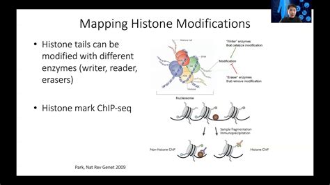 Histone Modification