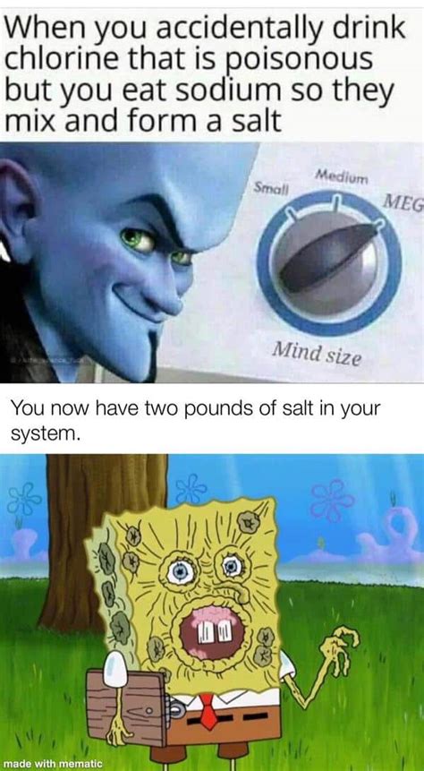 30 Salt Memes For Lightly Seasoned Laughs