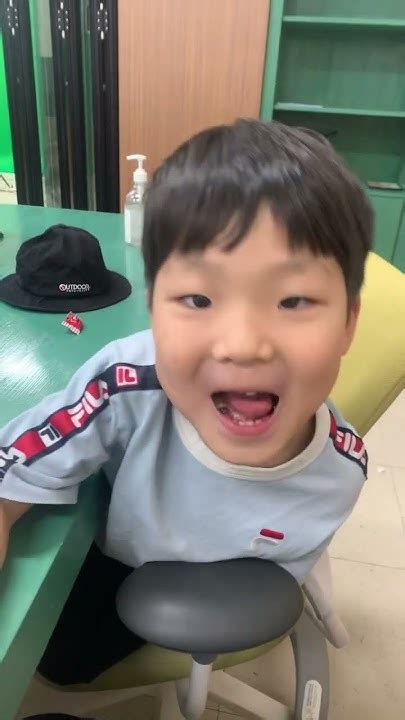 귀여운 강아지 Youtube