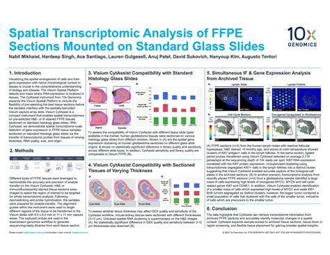 Spatial Transcriptomic Analysis Of Ffpe Sections Mounted On Standard Glass Slides 10x Genomics
