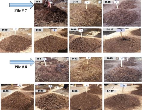 Physical Changes In Compost Pile Appearance And Structure At Different Download Scientific