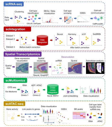 ezSingleCell 零代码单细胞数据分析平台介绍 哔哩哔哩