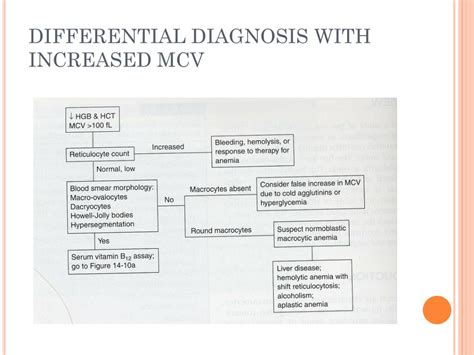 Ppt Macrocytic Anemias Powerpoint Presentation Free Download Id 259612