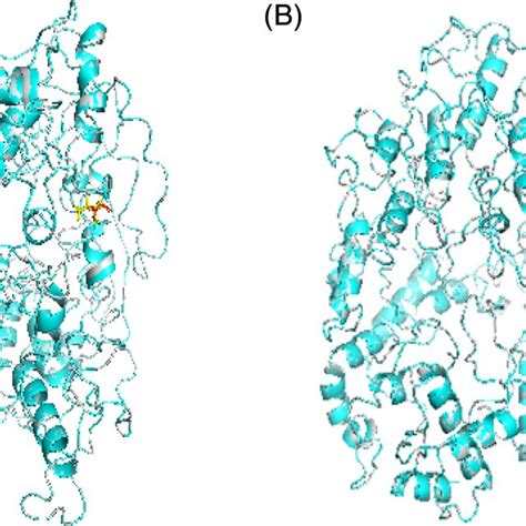 Predicting Molecular Modeling Of Gnas Mutations Download Scientific
