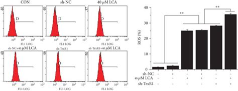 Lca Upregulated Ros Level And Promoted Apoptosis Through Inactivation