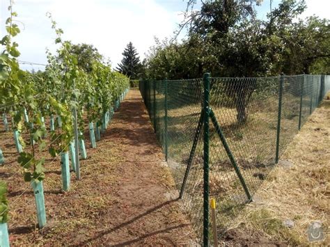 Před Fotogalerie K Referenci Drátěný Plot • NejŘemeslnícicz