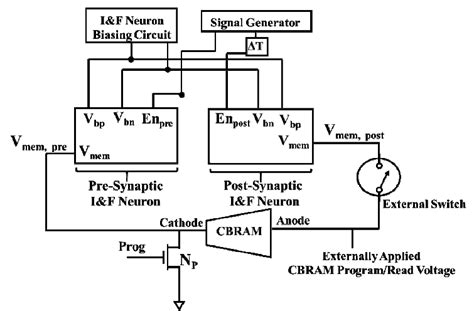 test setup for stdp demonstration consisting of cmos neurons connected