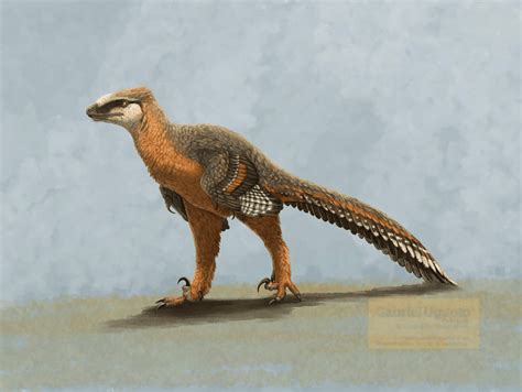 10 Fascinating Feathered Dinosaurs You Need To Know About