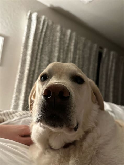 colin marth on linkedin payton says happy friday