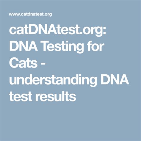 Dna Testing For Cats Understanding Dna Test Results