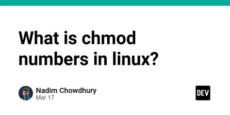 What Is Chmod Numbers In Linux DEV Community