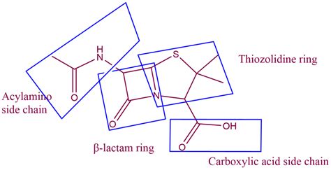 Penicillin Types Structure Activity Relationship