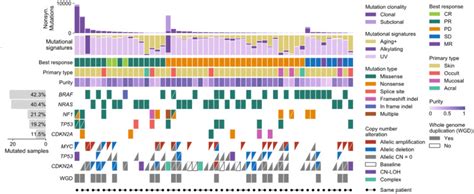 Comut Visualizing Integrated Molecular Information With Comutation