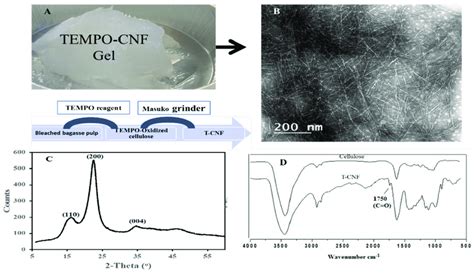 Preparation Of Tempo Oxidized Cellulose Nanofibrils Dispersed In Water Download Scientific