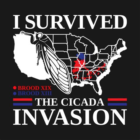 Cicada Map I Survived The Cicada Invasion 2024 Brood Xix Xii Cicada Map Hat Teepublic