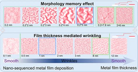 Surface Wrinkling With Memory For Programming Adhesion And Wettability Acs Applied Nano Materials