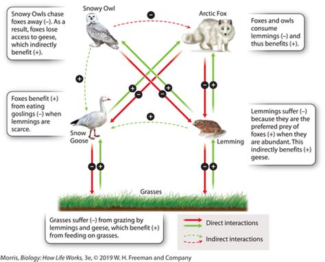 Biol 181 Chapter 45 Learning Objectives Flashcards Quizlet