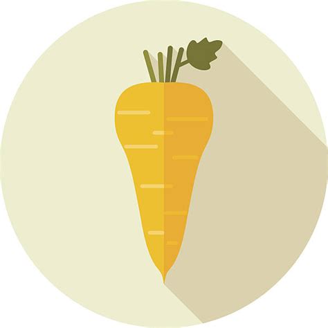 Parsnip Clip Art Vector Images And Illustrations Istock