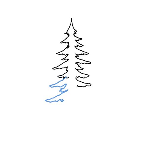 How To Draw A Pine Tree Step By Step Easy Drawing Guides Drawing Howtos