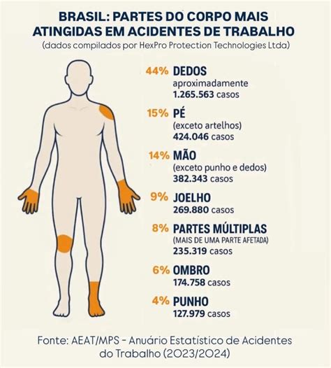 André Padilha Assessor And Consultor Técnico Partes Do Corpo Humano