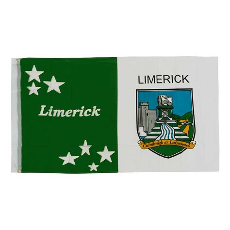 Team Car Flag Limerick Gaa Flag 5x3 Intersport Elverys