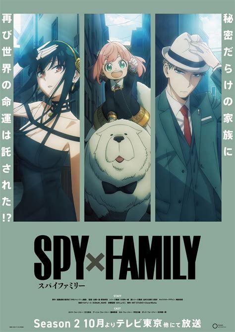 《间谍过家家》第2季动画最新海报公开间谍过家家新浪新闻