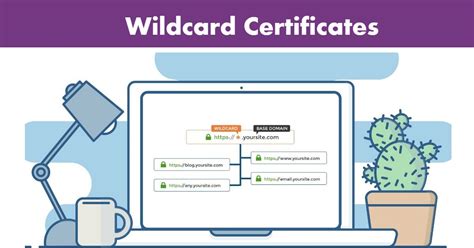 Wildcard Certificates Definition Importance Prerequisites Steps To