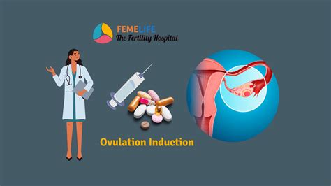 Ovulation Induction Procedure Drugs And Protocols Femelife