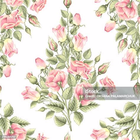 새싹과 잎이 있는 장미의 꽃 완벽 한 패턴 손으로 그린 수채화 그림입니다 봄 핑크 블루솜 정원 식물에서 꽃 장식 벽지 섬유 포장 표지에 대 한 템플릿 개화기에 대한 스톡