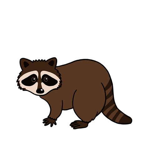 귀여운 너구리 무료 일러스트 다운로드 상업적사용가능