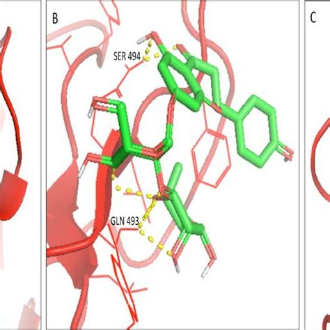 Pymol Visualization Of Interaction Docking Results Of Top 3 Ligands Download Scientific