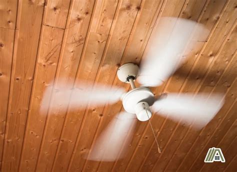 Ceiling Fan Direction In Fall And Spring The Tibble