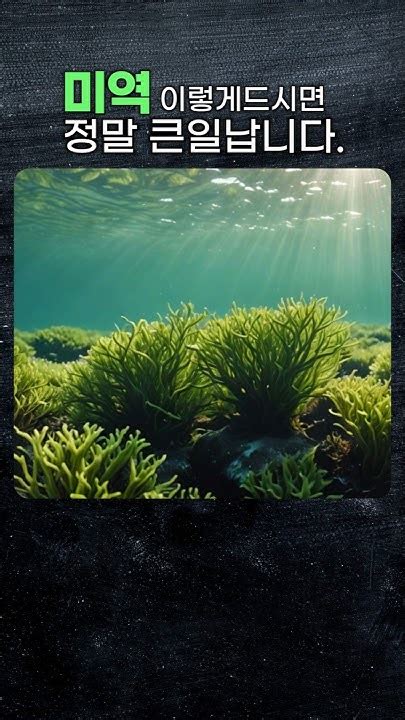 미역 이렇게먹으면 정말 큰일납니다 Youtube