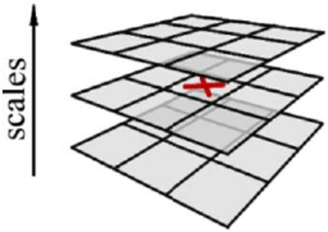Non Maximal Suppression Download Scientific Diagram