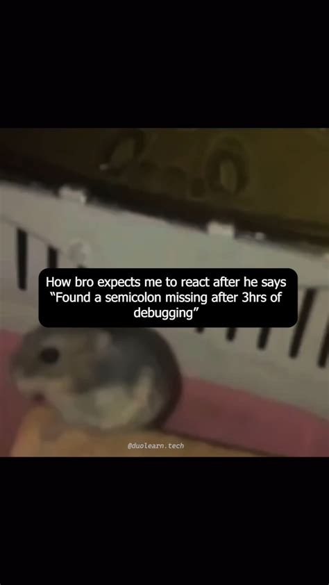 Duolearn Duolearntech • Instagram Photos And Videos