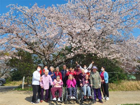 벚꽃 드라이브 갤러리 엘림복지타운 노인요양원