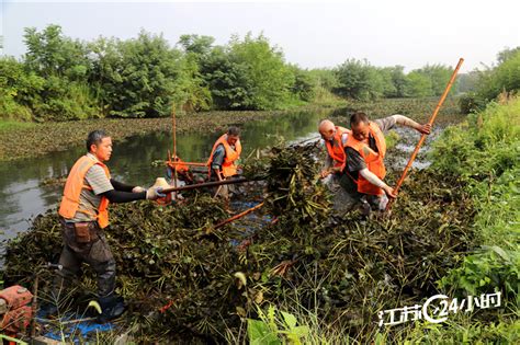 使用收割机清除河道杂草中国江苏网