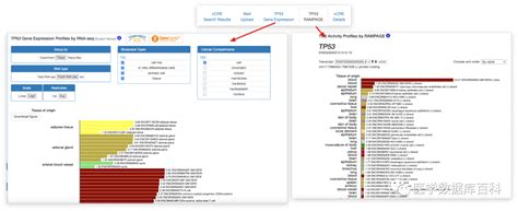 ENCODE V 基因组调控预测数据库 ENCODE 转录 包括 基因 数据库 健康界