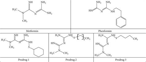 Chemical Structure Of Biguanide Derivatives Metformin Phenformin And
