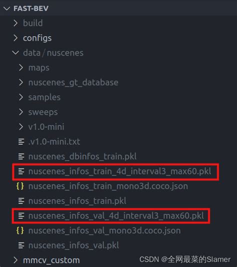 Fast Bev代码复现实践fastbev 复现 Csdn博客