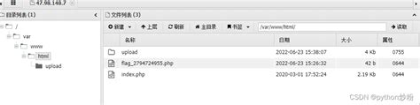 Ctfhub 技能树 Web题 文件上传（无验证，js前端验证，前端验证）ctfhub 文件上传 Js前端验证 Csdn博客