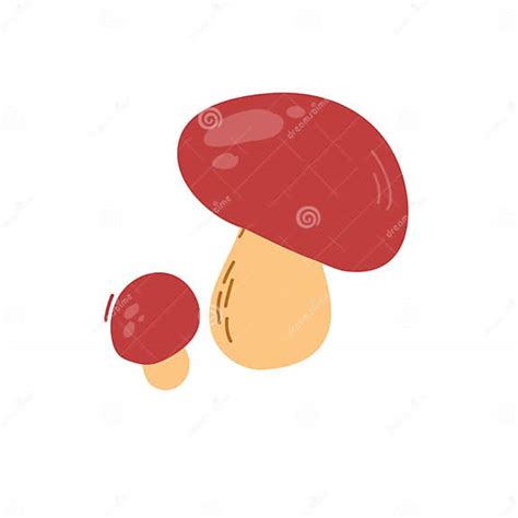 Porcini Mushroom Edible Forest Mushrooms Fresh Fall Seasonal Boletus Composition Autumn
