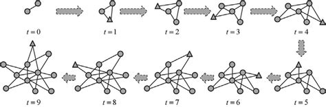 Illustration Of The Growth Of A Ba Scale Free Network Download