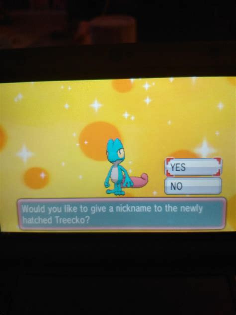 [6] Shiny Treeko In 285 Eggs R Shinypokemon